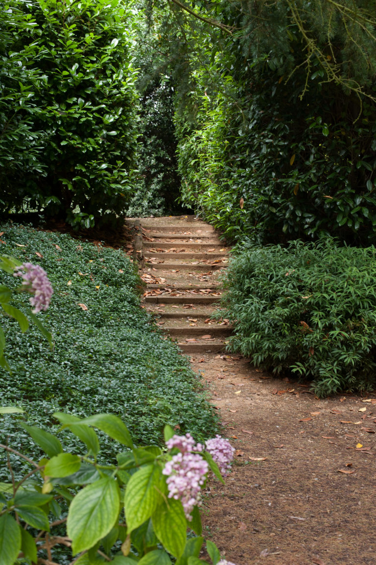 Haughley Park | Gardens and Grounds