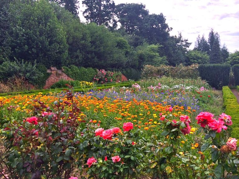 Haughley Park | Gardens and Grounds