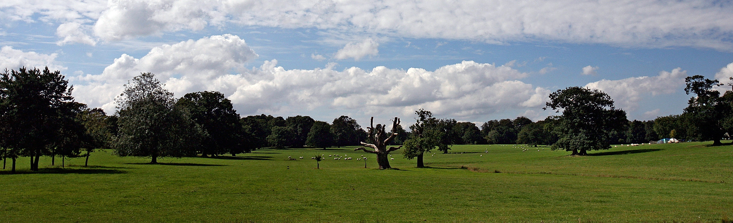 Haughley Park | Gardens and Grounds