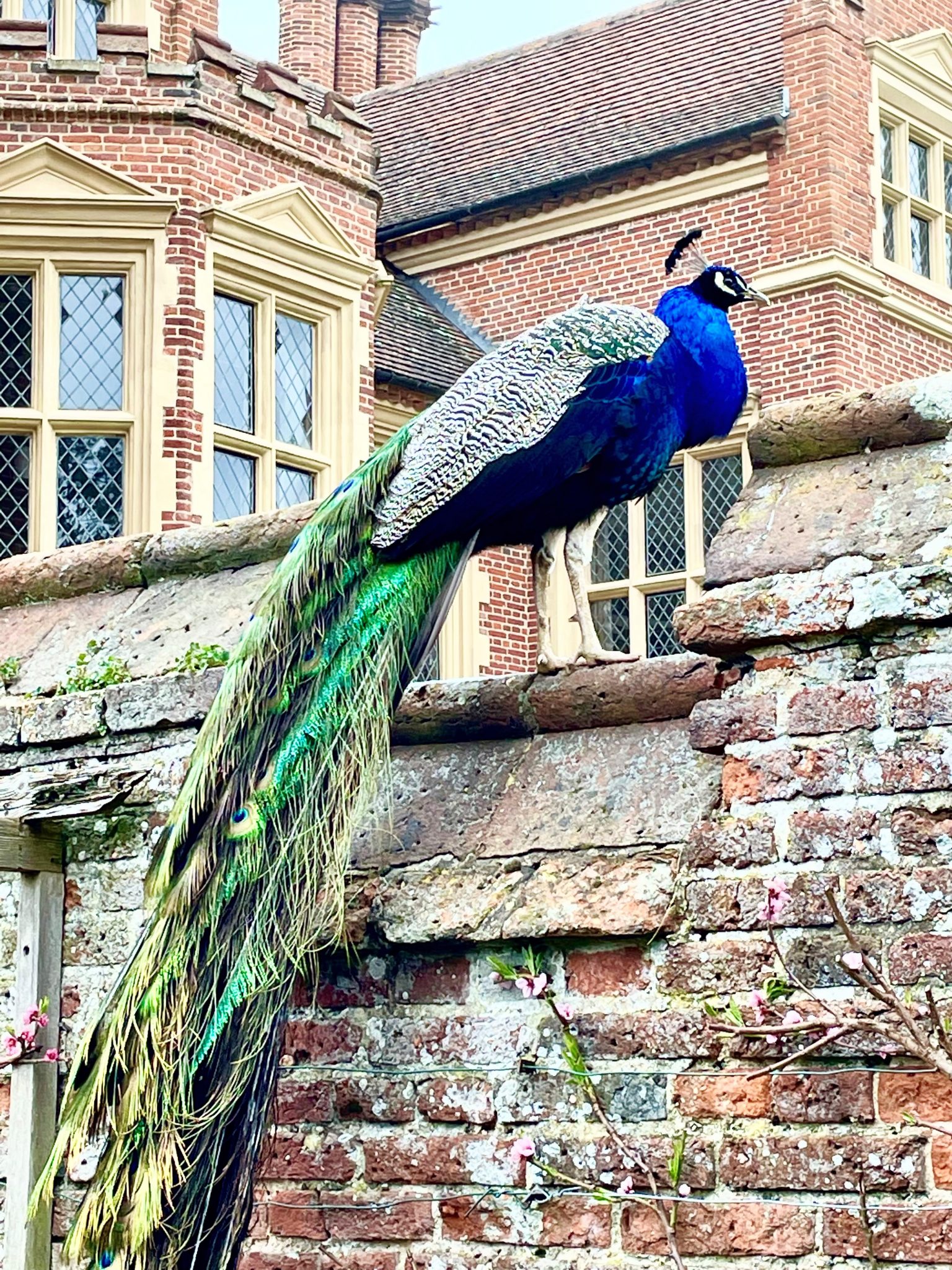 Haughley Park | Gardens and Grounds